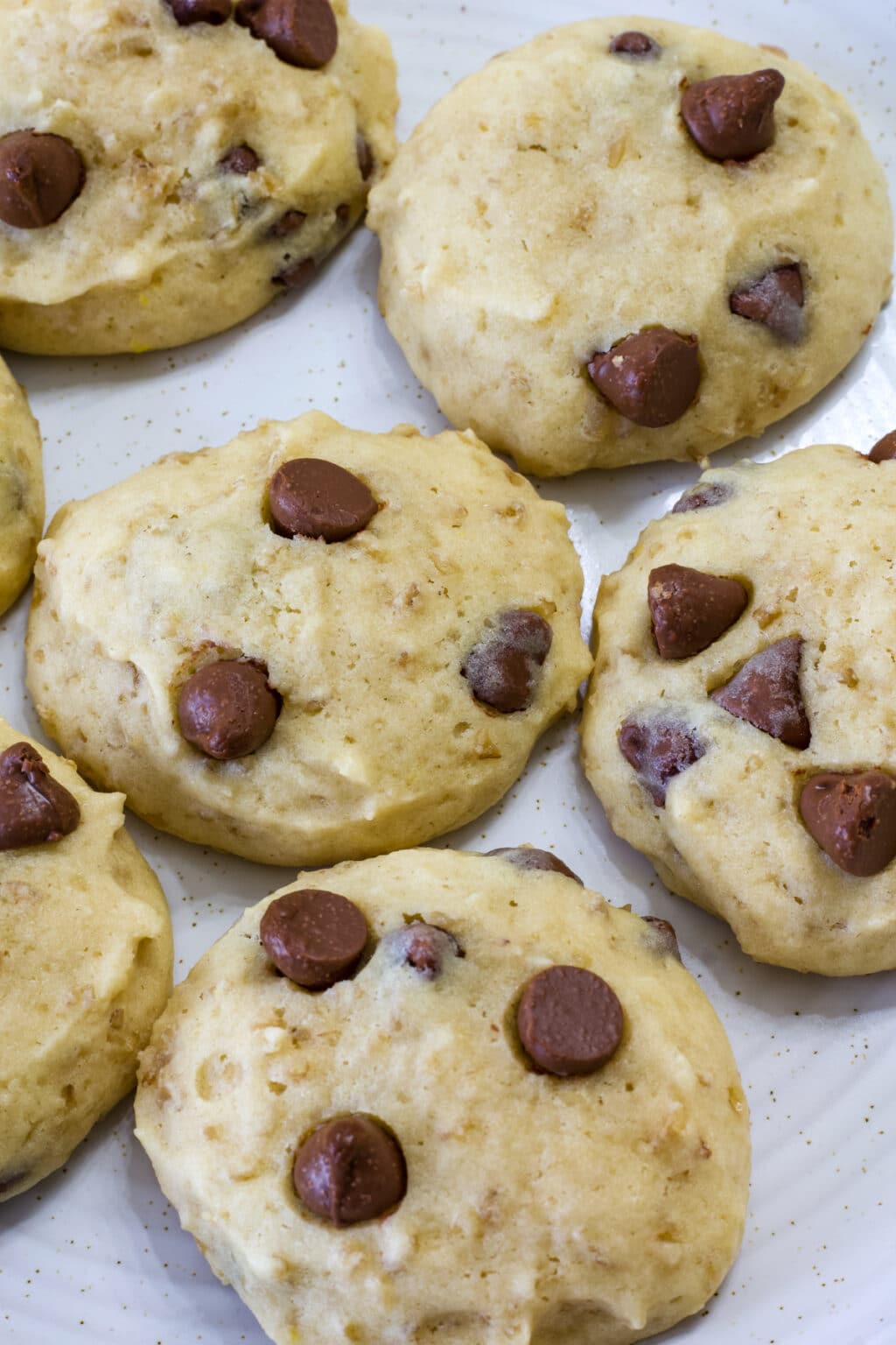 Steel-Cut Oats Chocolate Chip Cookies - Mindy's Cooking Obsession