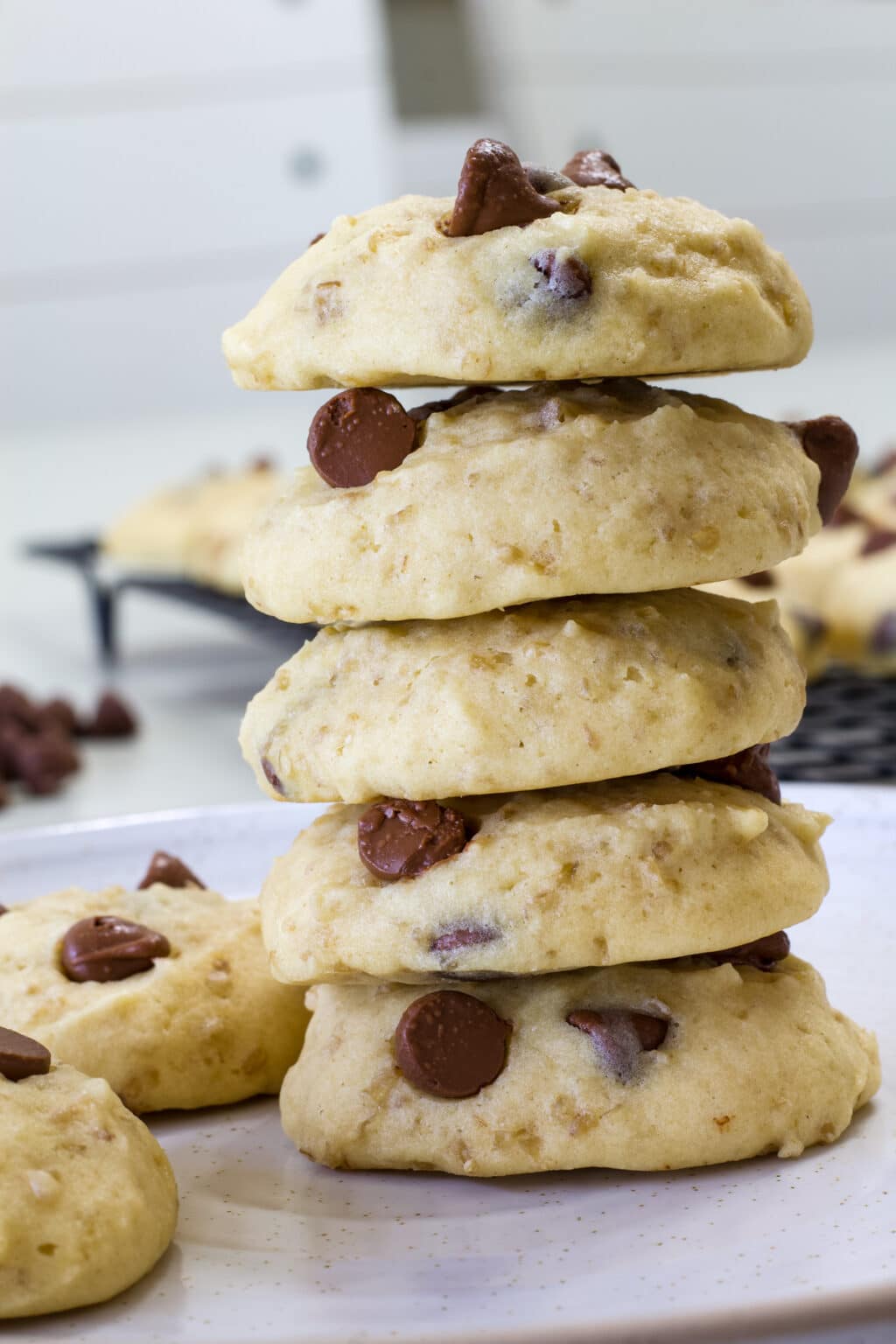 Steel-Cut Oats Chocolate Chip Cookies - Mindy's Cooking Obsession