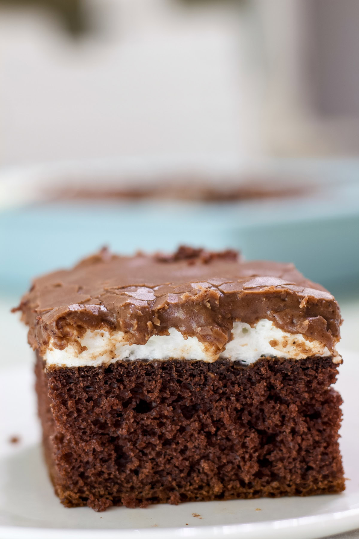 Mississippi Mud Cake - Mindy's Cooking Obsession