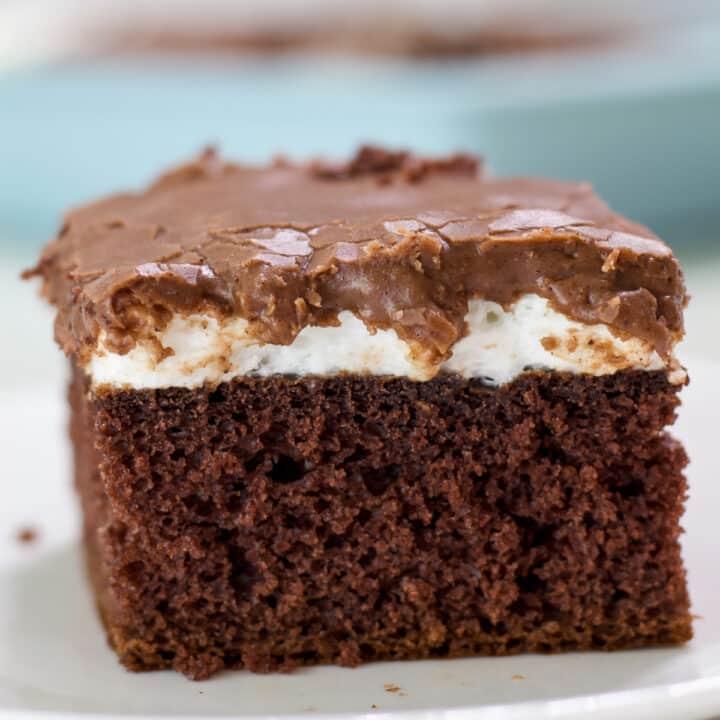 Mississippi Mud Cake - Mindy's Cooking Obsession
