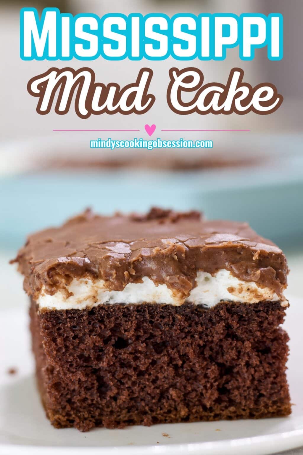 Mississippi Mud Cake - Mindy's Cooking Obsession