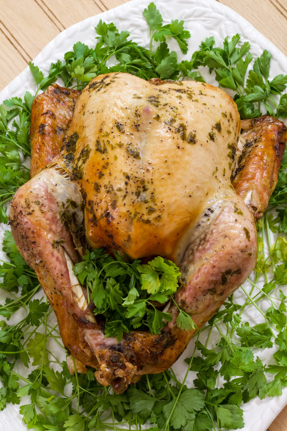 Roaster Oven Roasted Turkey - Mindy's Cooking Obsession