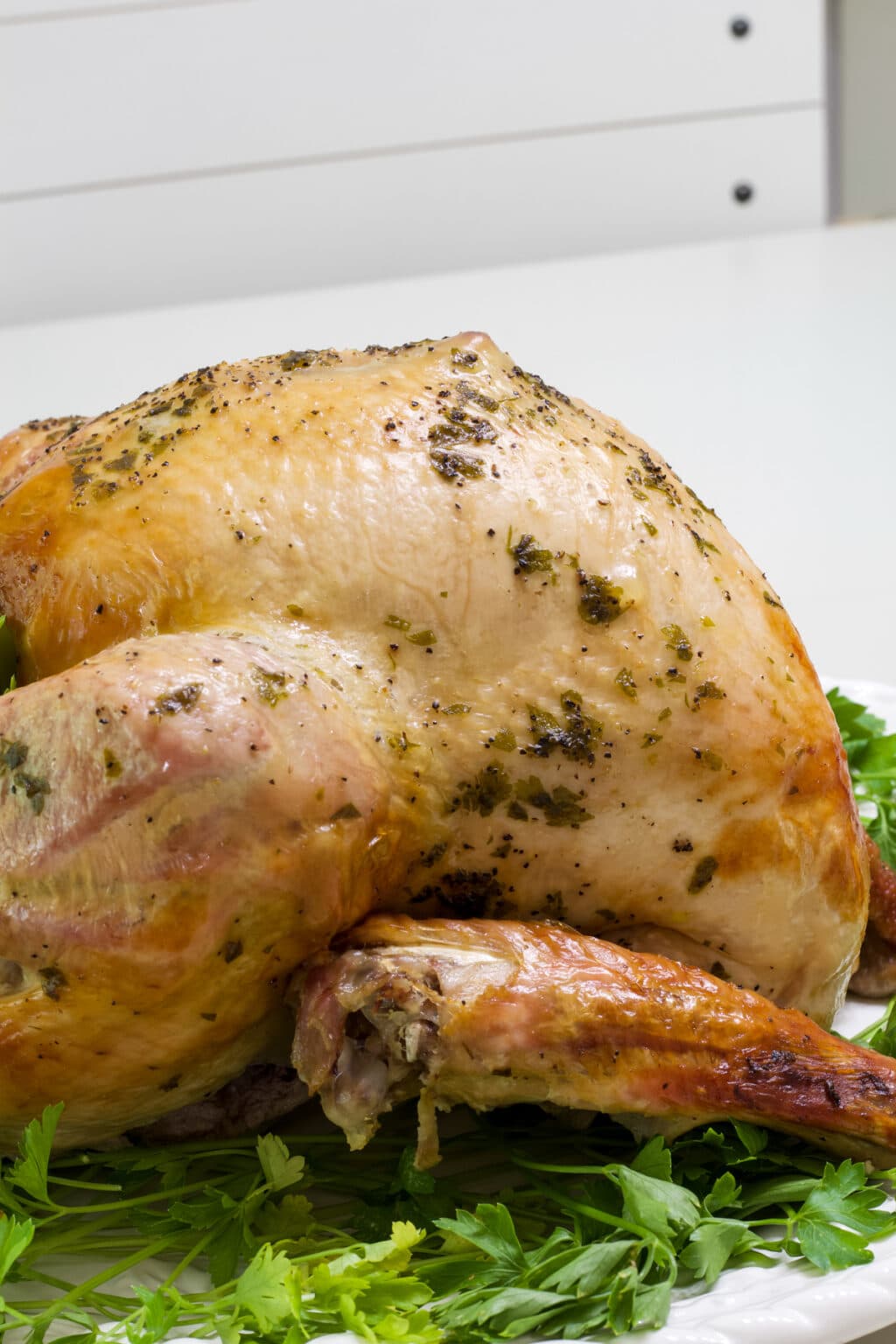 Roaster Oven Roasted Turkey - Mindy's Cooking Obsession
