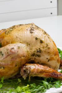 Roaster Oven Roasted Turkey - Mindy's Cooking Obsession