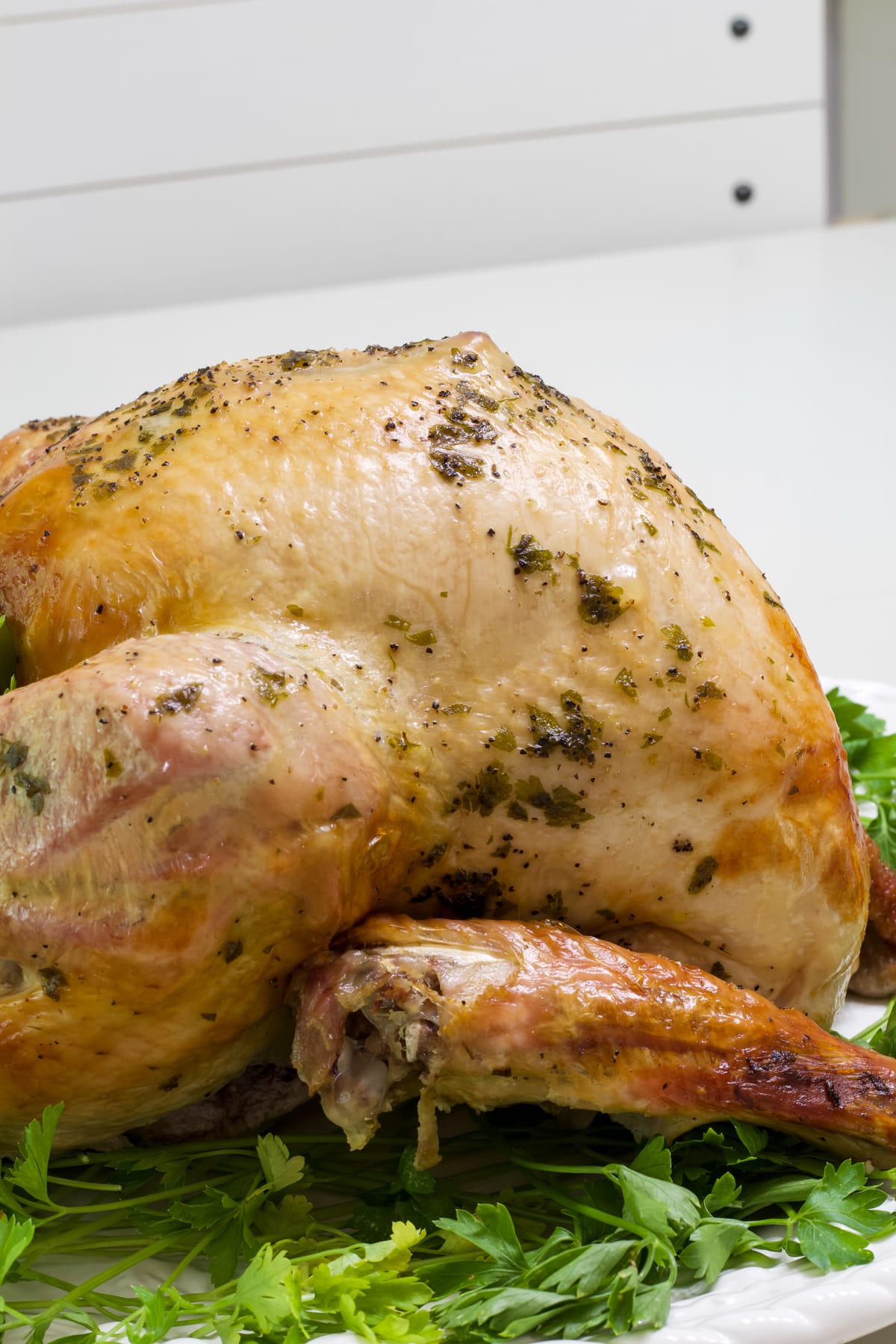 Roaster Oven Roasted Turkey - Mindy's Cooking Obsession