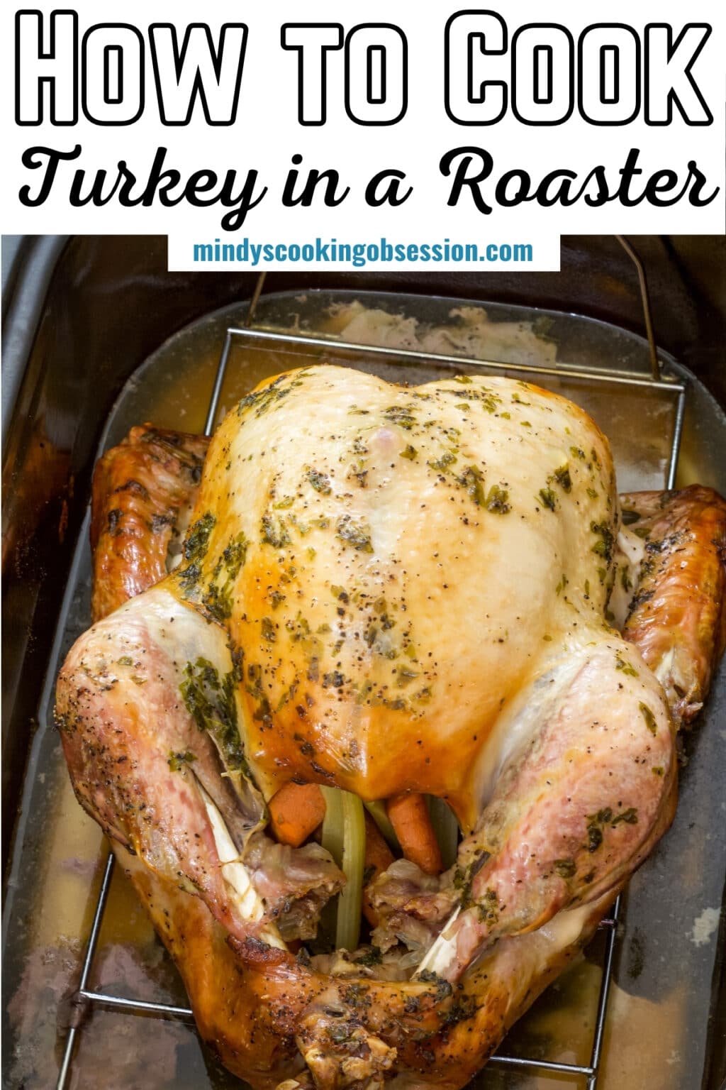 Roaster Oven Roasted Turkey - Mindy's Cooking Obsession